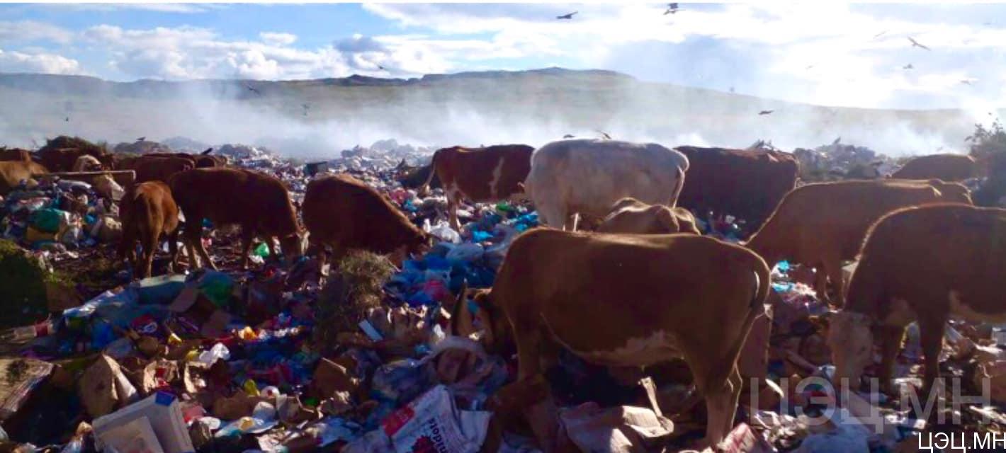 Бараат хогийн цэг малын бэлчээр болоод удлаа Цэц МН